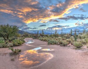 Home - Arizona Parks and Recreation Association